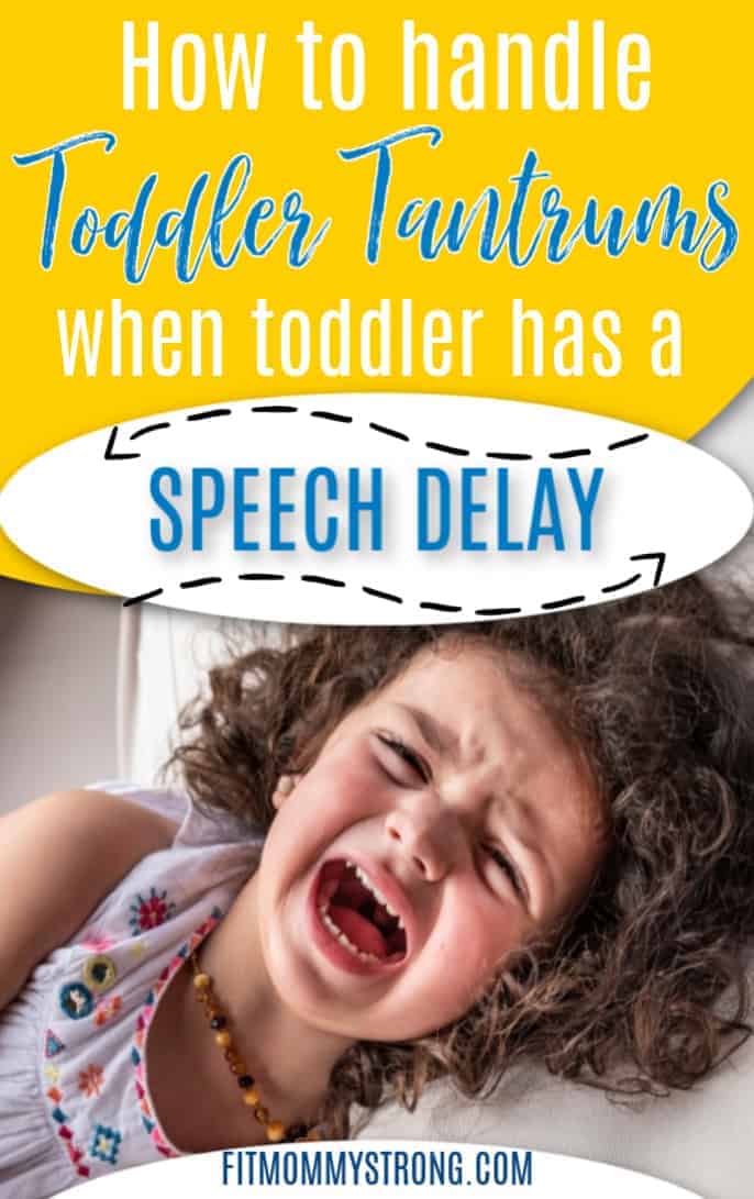 3 Tips For Dealing With Toddler Speech Delay Tantrums Mom After Baby 3 Tips For Dealing With Toddler Speech Delay Tantrums Mom After Baby