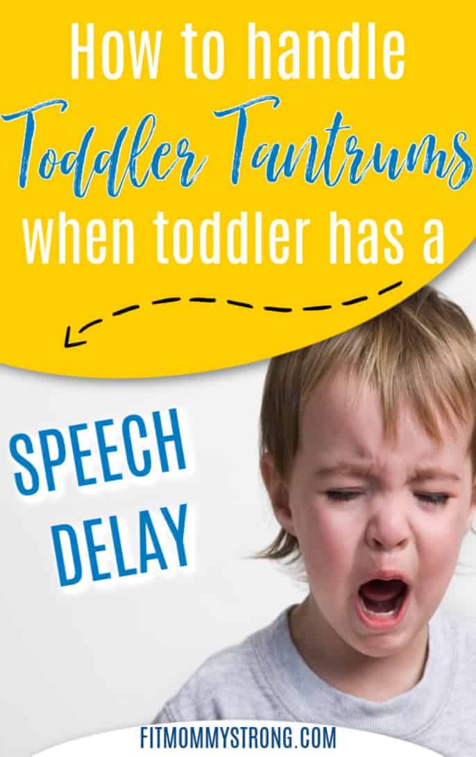 3 Tips For Dealing With Toddler Speech Delay Tantrums Mom After Baby