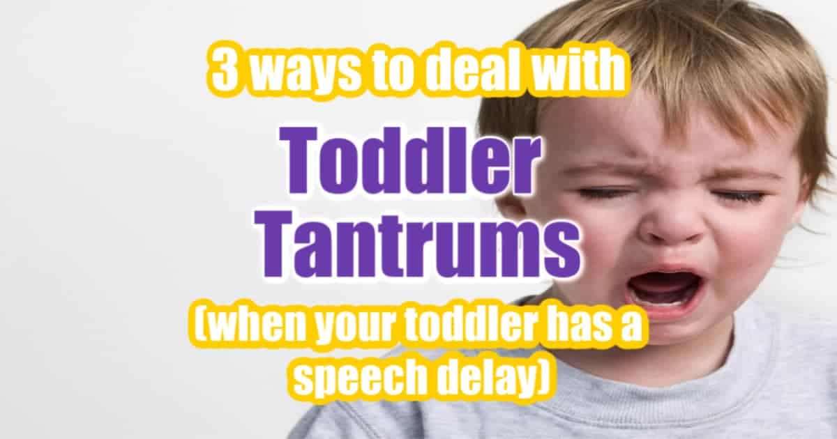 3 Tips For Dealing With Toddler Speech Delay Tantrums Mom After Baby