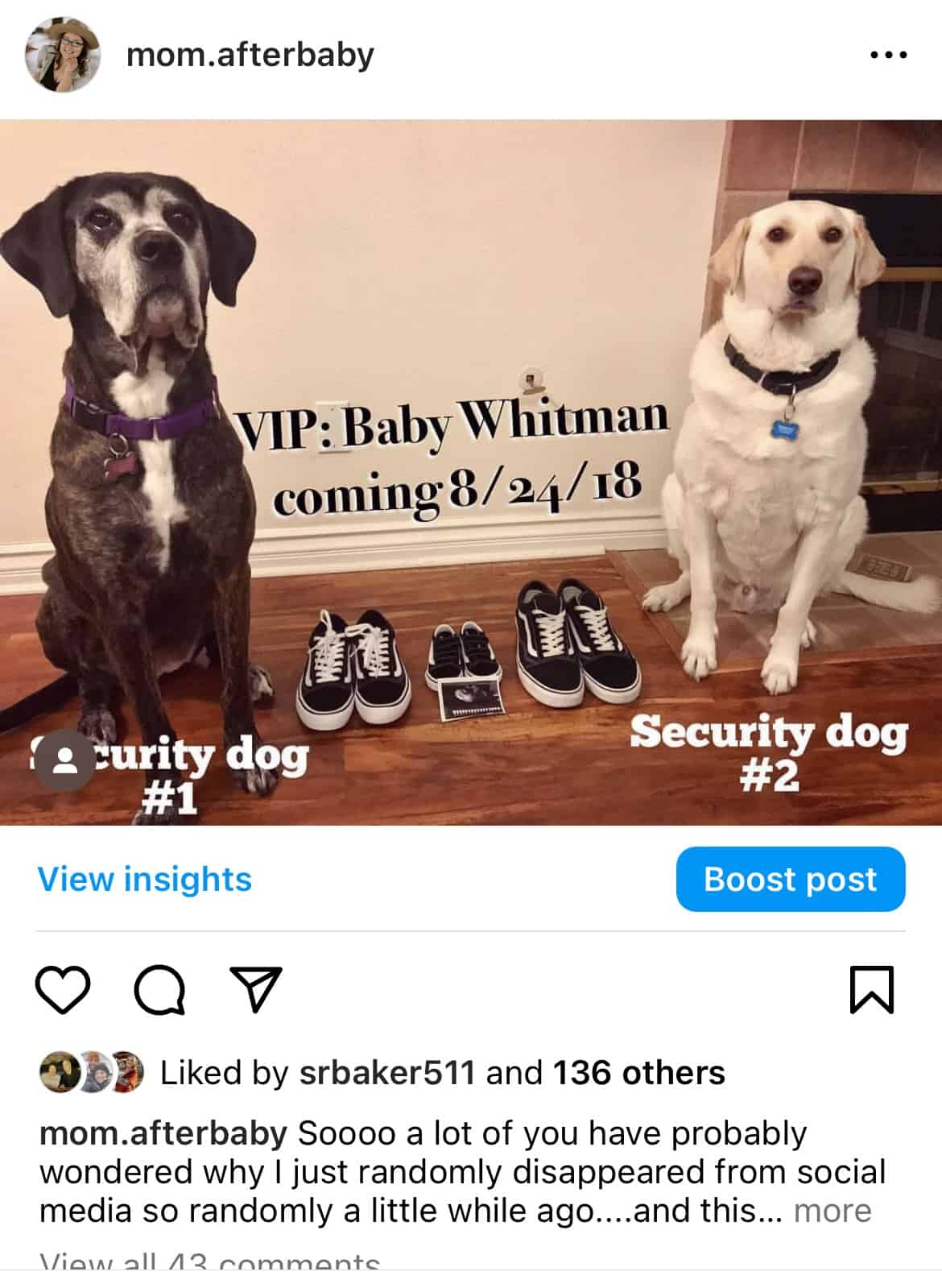 101 Cute Pregnancy Captions For Instagram (Announcement & Maternity ...